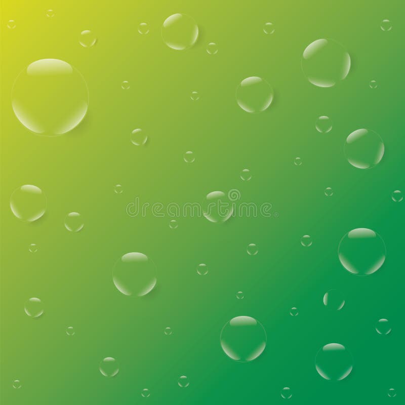 Bubbles Dew Drops on a Yellow-green Background Vector Stock Vector ...