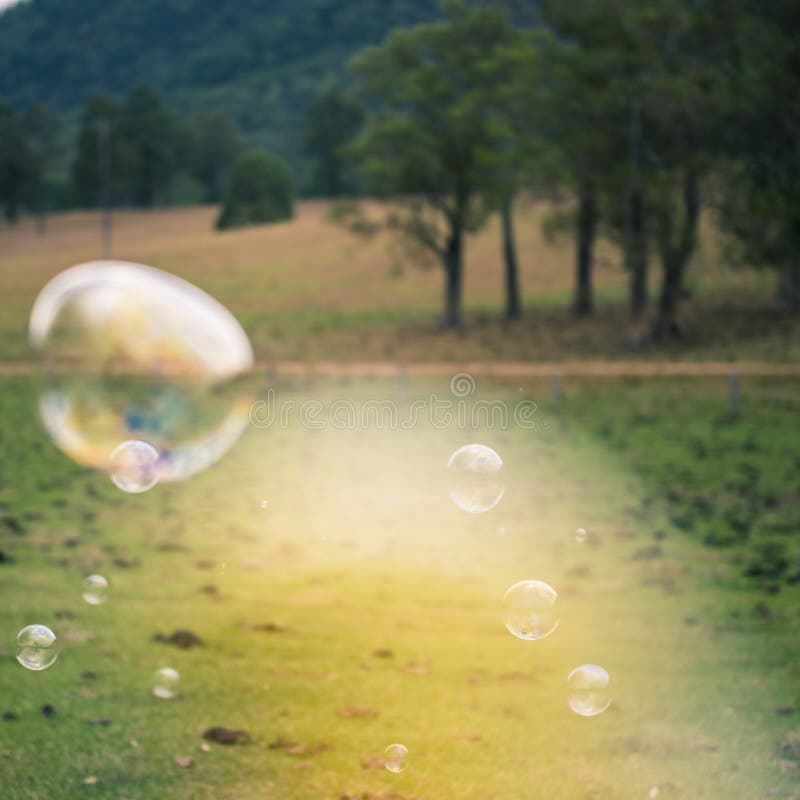 Bubbles in the air outside stock image. Image of happy - 101541607