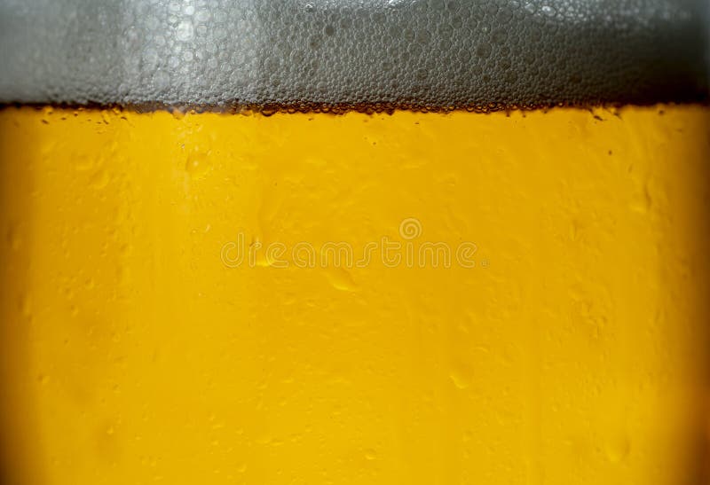 Bubbles and Foam in the Rays of Light in a Glass of Beer Close-up Stock ...