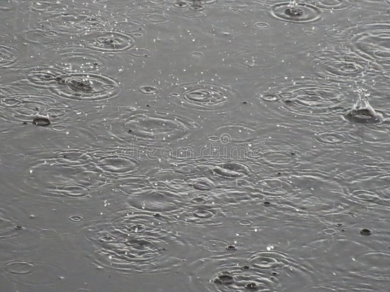 Bubbles Forming in a Puddle of Water while Raining. Stock Image - Image ...