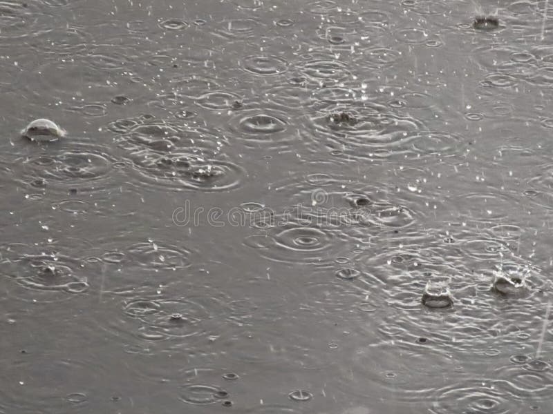 Bubbles Forming in a Puddle of Water while Raining. Stock Photo - Image ...