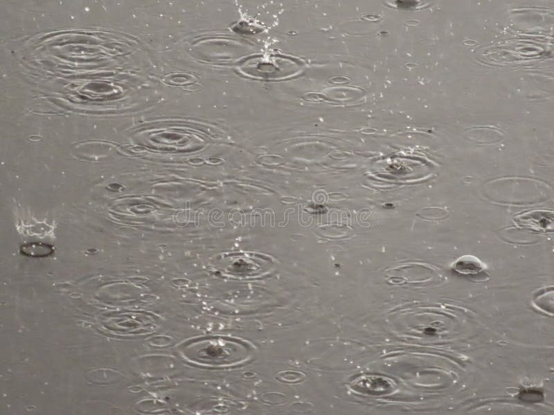 Bubbles Forming in a Puddle of Water while Raining. Stock Photo - Image ...