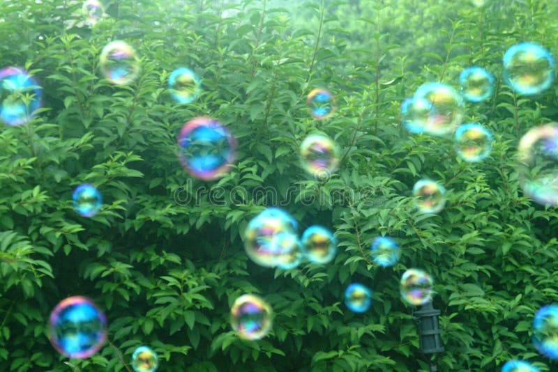 Rural Rainbows stock photo. Image of tree, nature, natural - 2185216