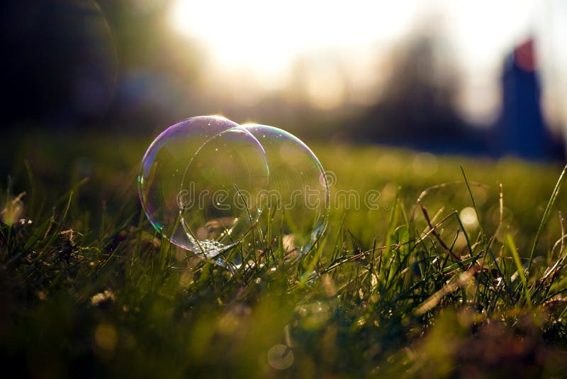 Bubbles on the grass stock photo. Image of water, morning - 246994666