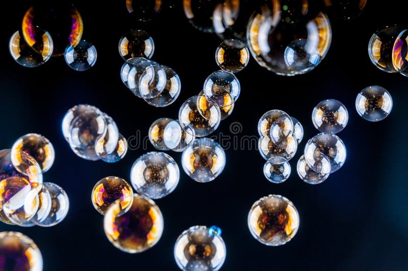 Shining Buvvles Stock Photos - Free & Royalty-Free Stock Photos from ...