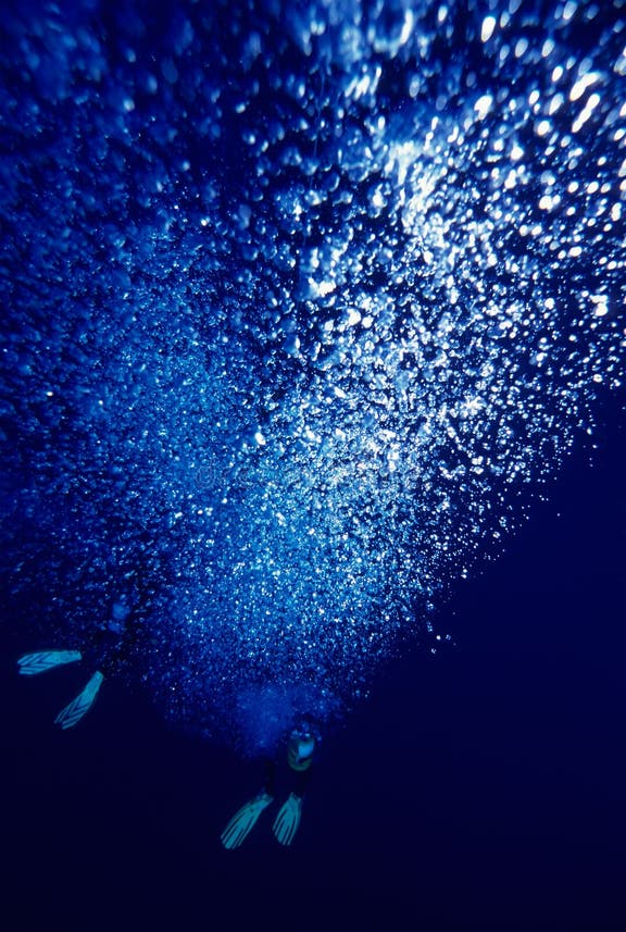 Bubbles n Fins stock image. Image of blue, open, water - 888525