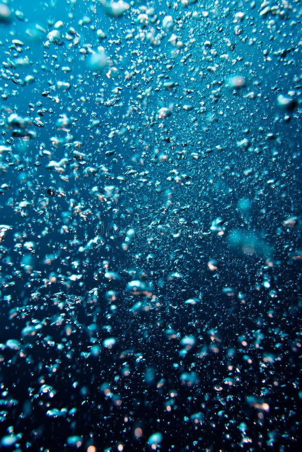 Bubbles in the ocean. stock image. Image of sealife, ocean - 11385161