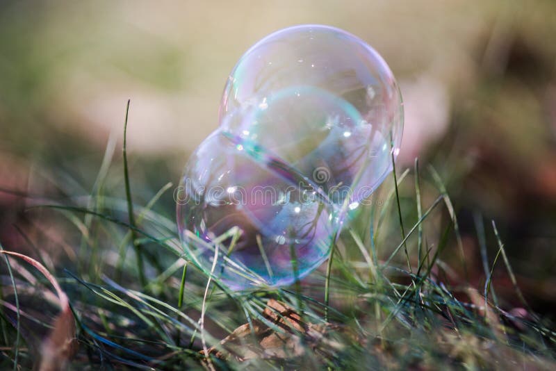 Bubbles on grass stock photo. Image of grass, winter - 107195372