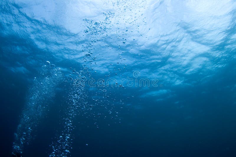 Bubbles rising stock image. Image of ocean, underwater - 14948095