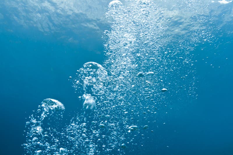 Bubbles rising stock image. Image of rising, diver, water - 20323287