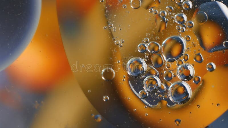Bubbles Rising in a Colorful Liquid Under Ambient Light Creating a ...