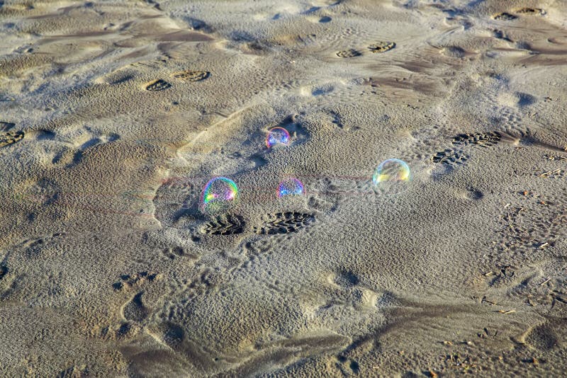Bubbles on Sandy Beach. Westport, New Zealand Stock Image - Image of ...
