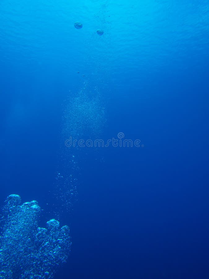 Bubbles from a Scuba diver stock photo. Image of sports - 108975790