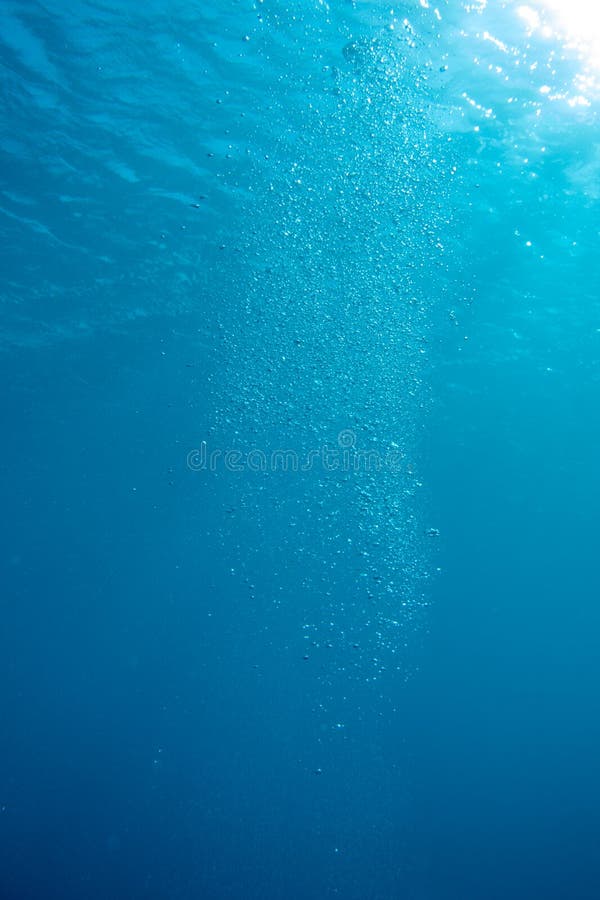 Bubbles from a Scuba diver stock image. Image of nature - 147364395