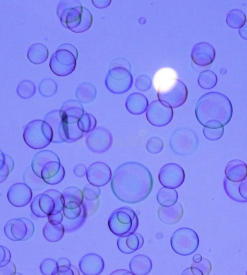 Bubbles Two stock photo. Image of lilac, pink, bubbles - 208747214