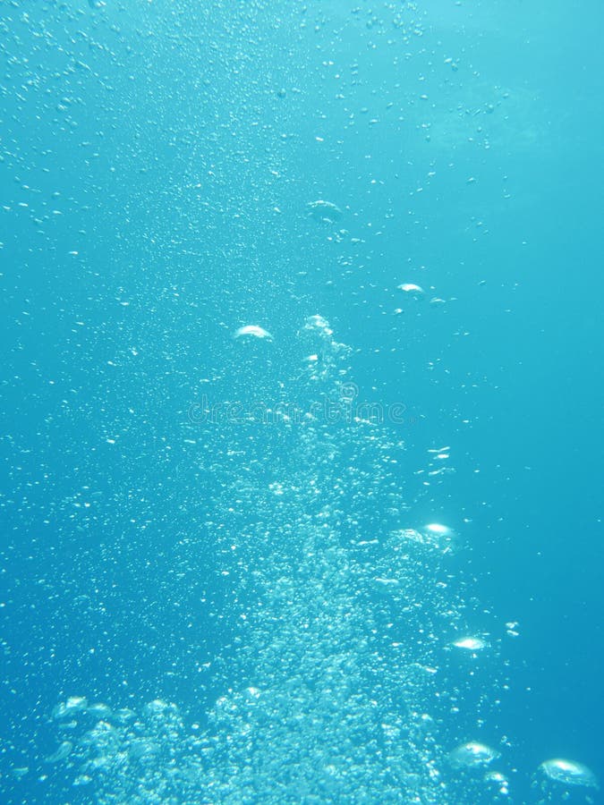 Bubbles stock image. Image of healthy, indonesia, fish - 81181093