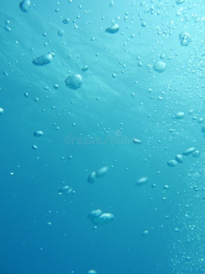Bubbles stock image. Image of clear, dark, ocean, healthy - 81641443
