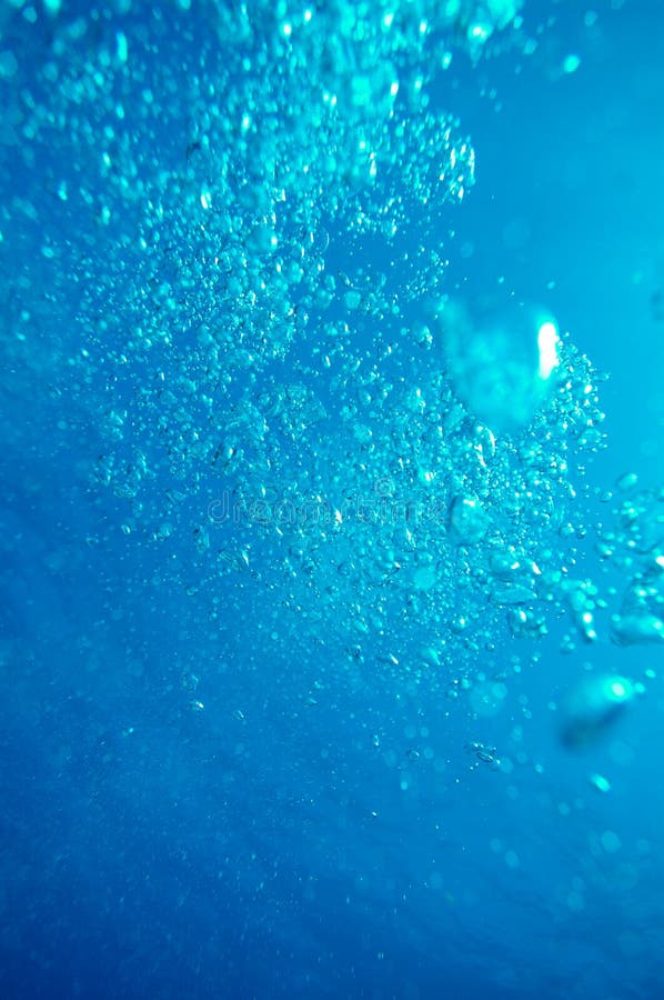 Bubbles stock photo. Image of deep, fish, bright, hobby - 83386852