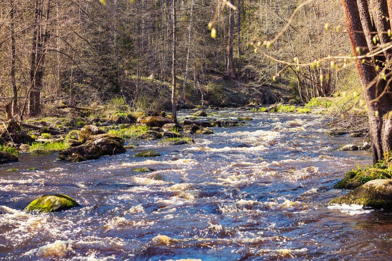 2,260 Bubbling Spring Stock Photos - Free & Royalty-Free Stock Photos ...