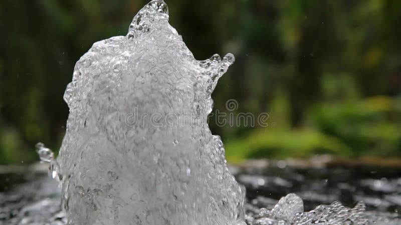 Bubbling Fountain Water Birdsong Spring Calm Meditation Drinking Water ...