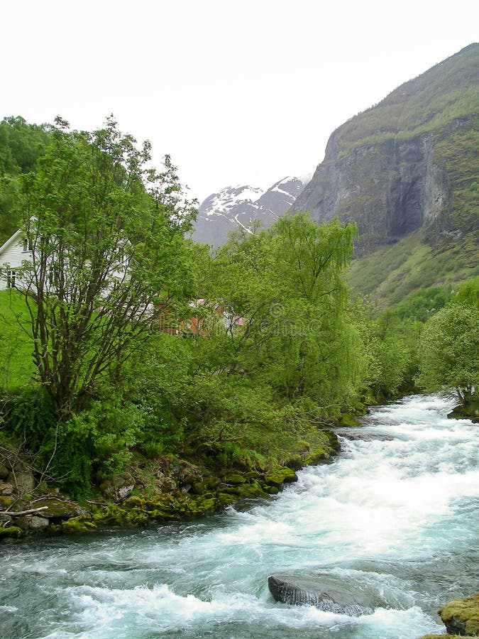Bubbling Mountain Stream in Norway Stock Photo - Image of bubbling ...