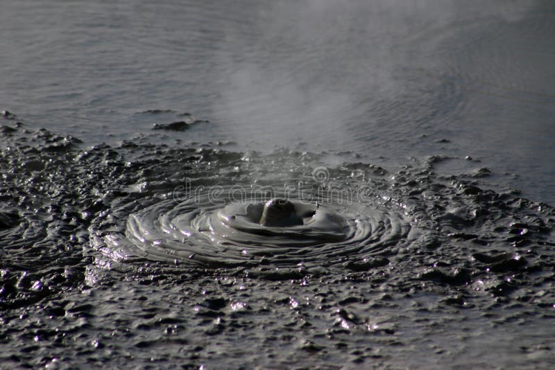 Bubbling mud in Rotorua stock photo. Image of bubbling - 26207082
