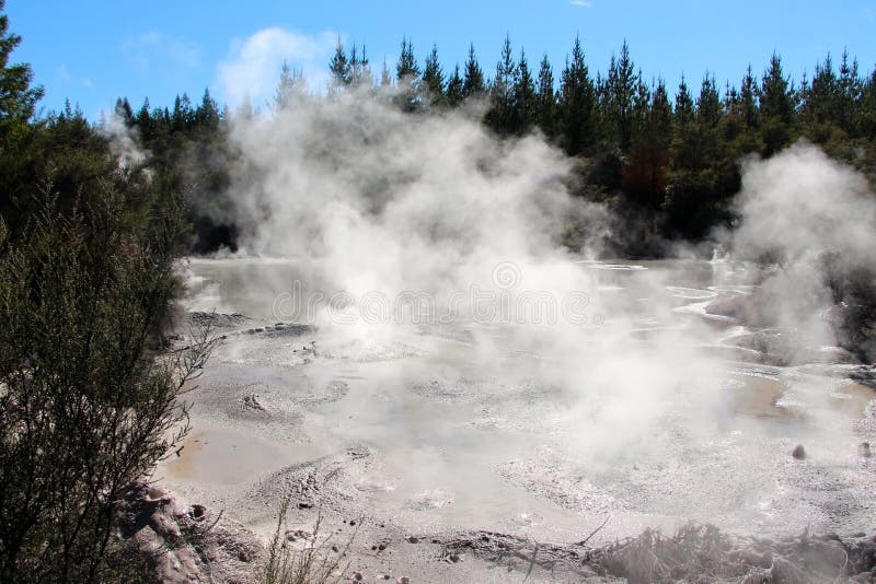 Bubbling mud pool stock photo. Image of mighty, knox - 45700838