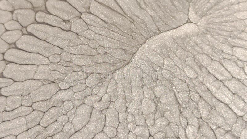 Bubbling and Steaming White Background Stock Video - Video of boiling ...