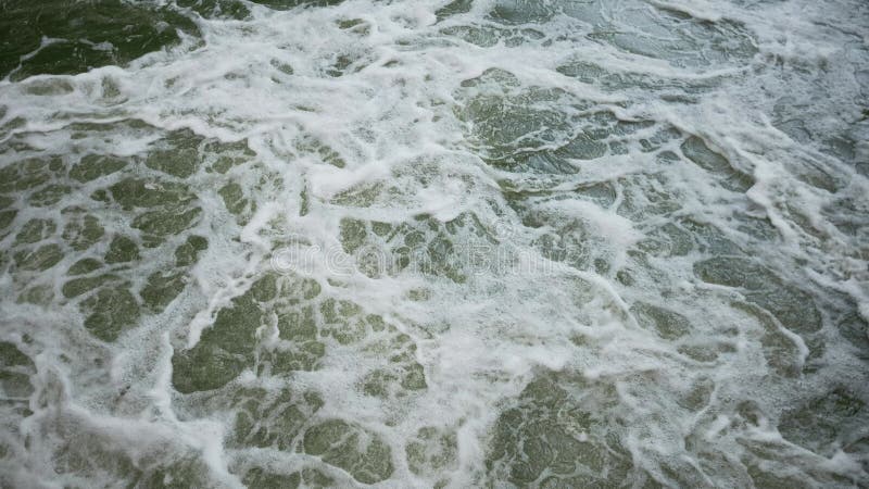 Bubbling Water and Beautiful Aquatic Plants within a Serene and Calming ...