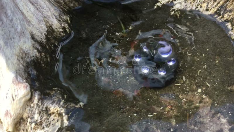 Bubbling Water Pouring Glass Top View. Closeup Air Bubbles Rising ...