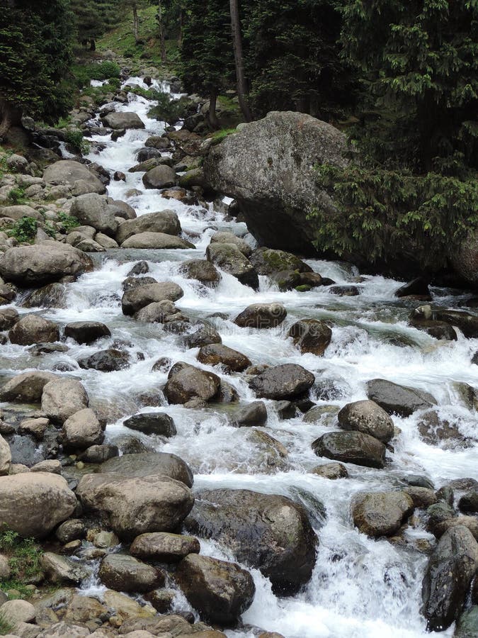 Brook Glory stock image. Image of forest, water, nature - 261234585