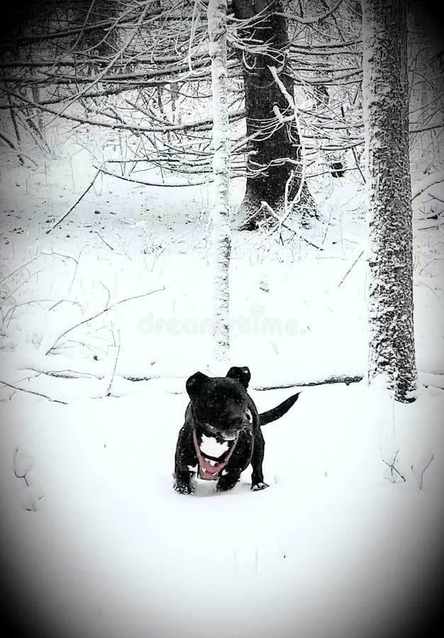 Bubby stock image. Image of flash, call, bubby, catch - 137073313