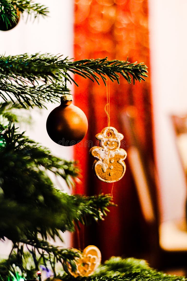 174 Buble Day Stock Photos - Free & Royalty-Free Stock Photos from ...