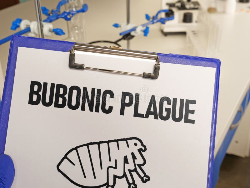 Bubonic Plague is Shown Using the Text Stock Image - Image of clinic ...