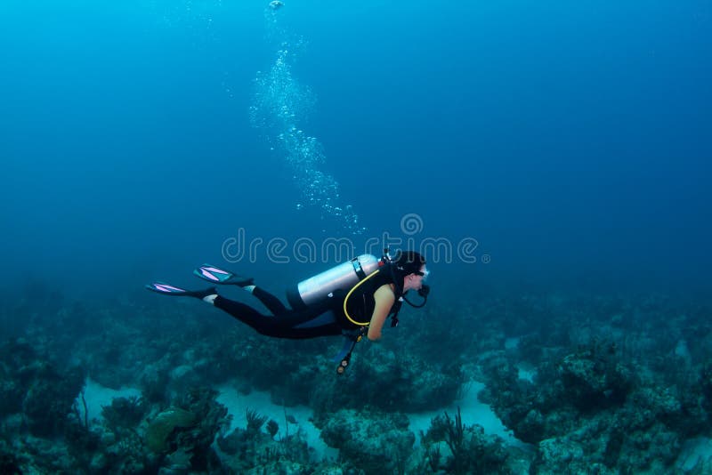 Buceador imagen de archivo. Imagen de zambullidor, tropical - 28871711