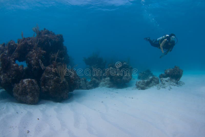 Buceador foto de archivo. Imagen de puerto, mujer, zambullidor - 28872232
