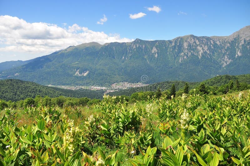 Bucegi view stock image. Image of busteni, bucegy, green - 25450503