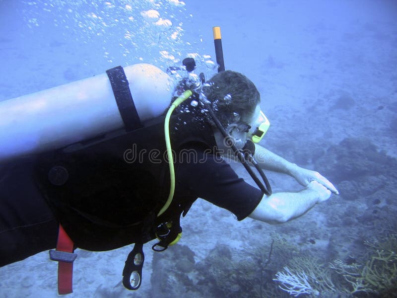 Buceo con escafandra foto de archivo. Imagen de zambullidor - 217270