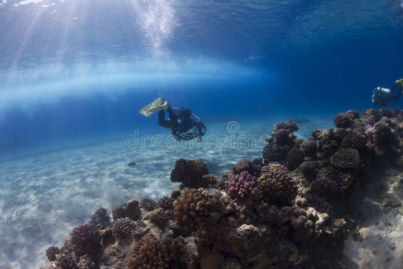 Buceo con escafandra foto de archivo. Imagen de vida - 34230588