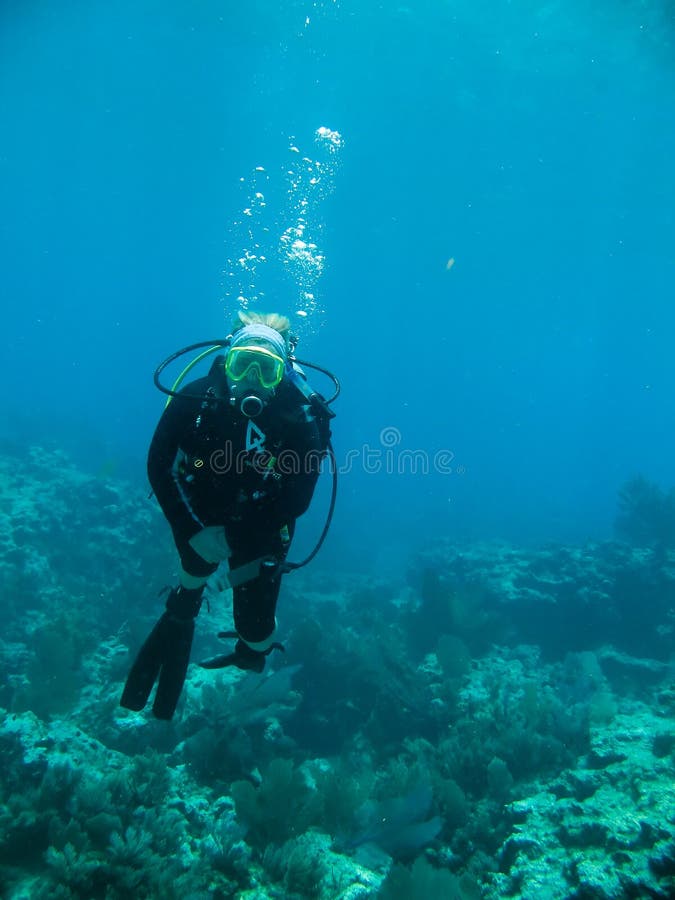 Buceo con escafandra imagen de archivo. Imagen de agua - 6116737