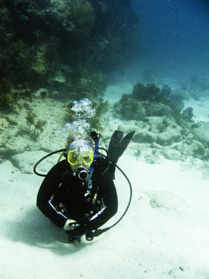 Buceo con escafandra foto de archivo. Imagen de nadador - 6221104
