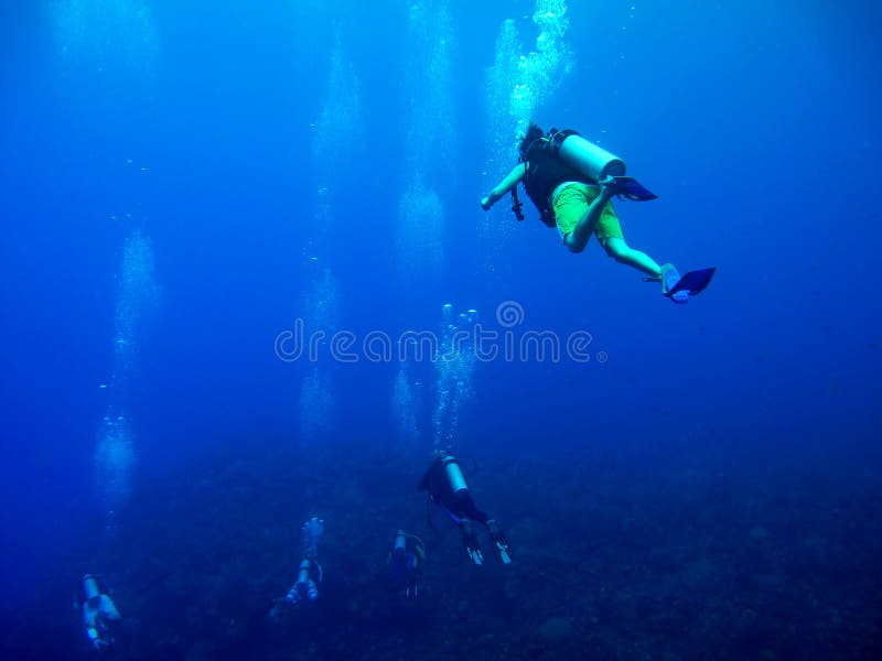 Buceo Con Escafandra En El Mar Del Caribe Foto de archivo - Imagen de ...