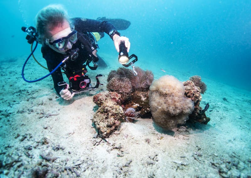 Buceo en el fondo del mar imagen de archivo. Imagen de salto - 157822589