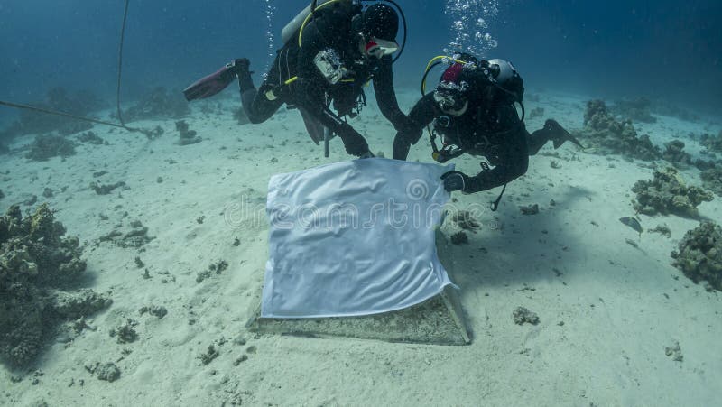 Buceo hurghada foto de archivo. Imagen de zambullida - 217818846