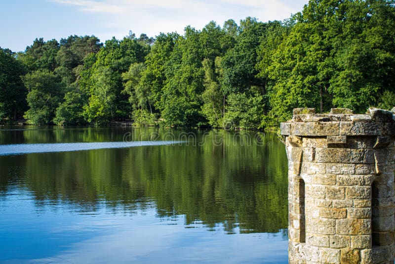 Buchan Parks Douster Lake in Summer Stock Image - Image of leaf ...
