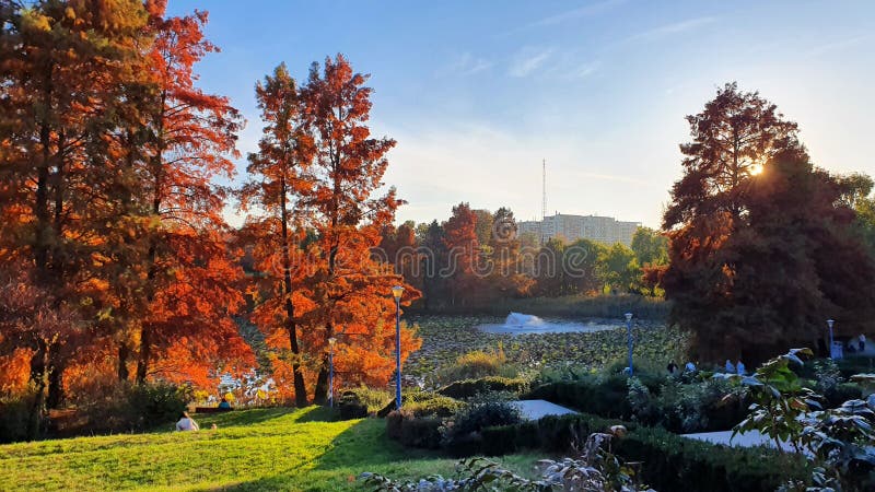 Bucharest circus park stock image. Image of cypress - 241725647