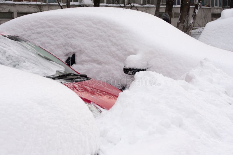 BUCHAREST ROMANIA - February 14: Weather Anomalies Editorial Image ...