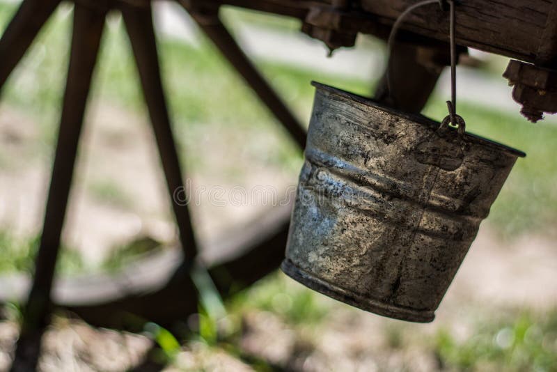 Buck it stock photo. Image of antiques, antique, buck - 95644892