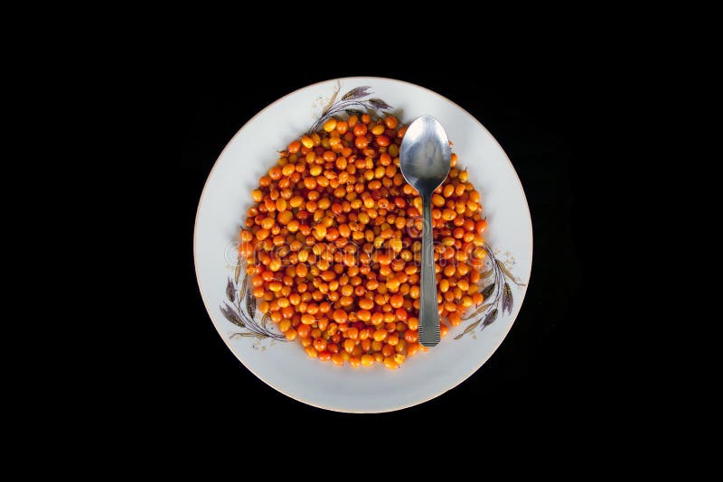 Buck-thorn berries stock image. Image of fruit, white - 26948227