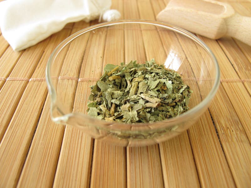 Buckbean, Menyanthidis Frifoliatae Folium Stock Photo - Image of bean ...